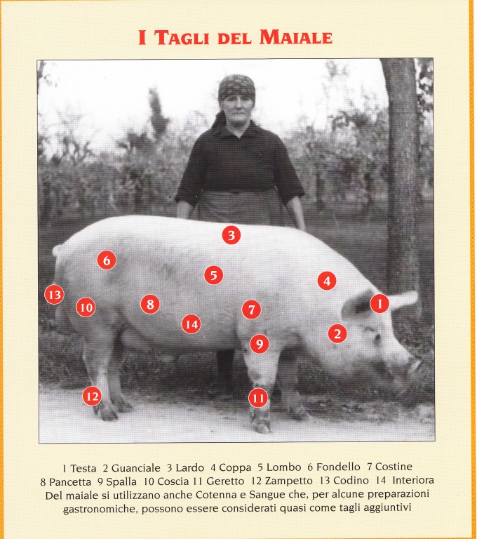 I tagli del maiale - AL BARNARDON